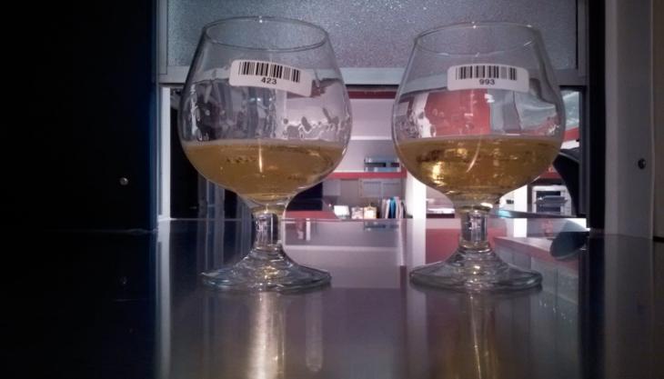 The True Test of a MillerCoors Taste-Tester | Molson Coors Beer & Beyond